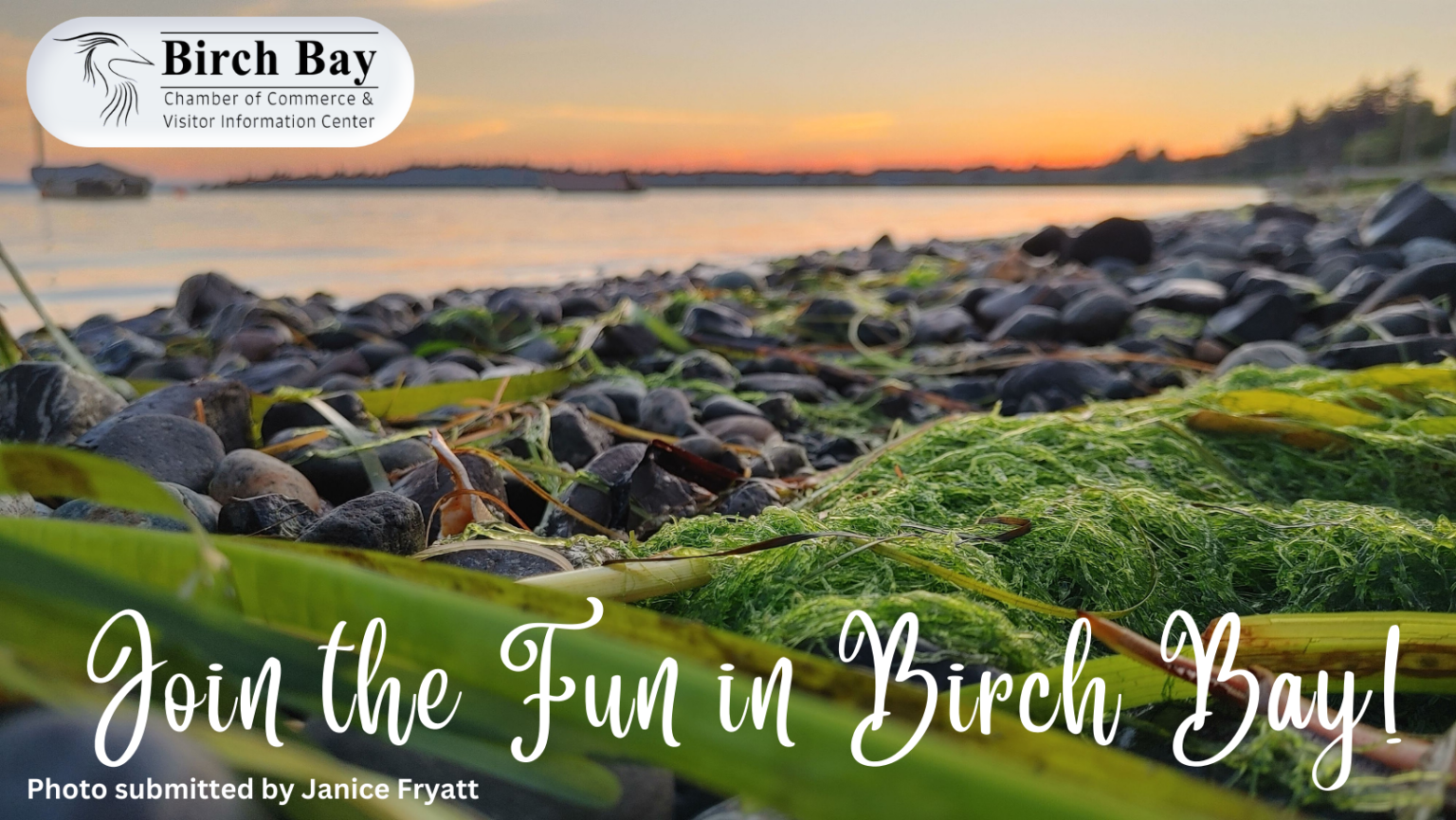 Birch Bay Chamber of Commerce - Welcome to Birch Bay